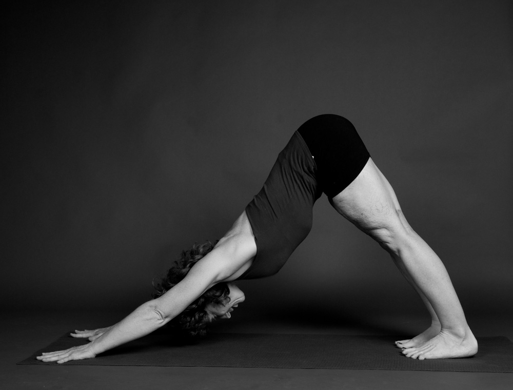 Yoga Center Santa Cruz, Iyengar Yoga Studio serving Santa Cruz » Yoga ...